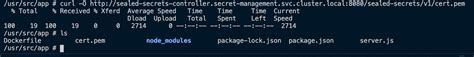 unable to retrieve signing certificate from path sealed secrets v1