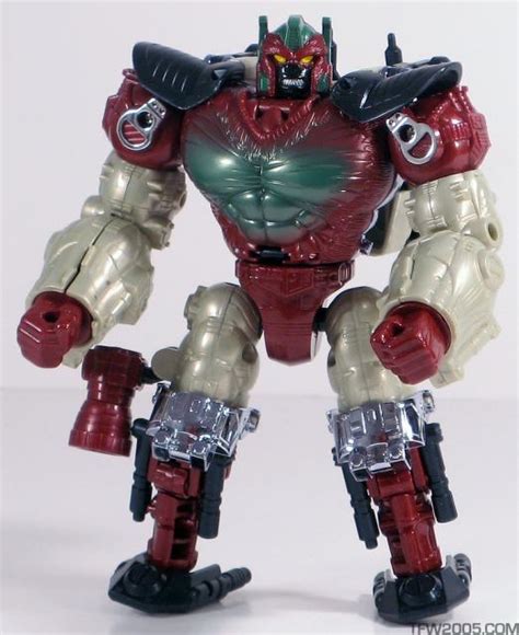 Apelinq Transformers Toys Tfw2005