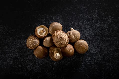 표고버섯 검정 콘크리트 유토이미지 상세페이지 베이직샵 사진 21785735