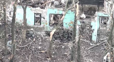 Трупи окупантів лежать на полі бою не дні а місяці опубліковано кадри з під Бахмута Диалог Ua