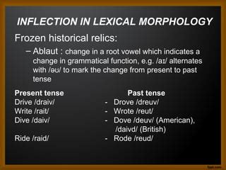 Inflection In Lexical Morphology PPT