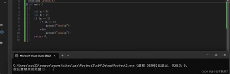 分支与循环 Csdn博客