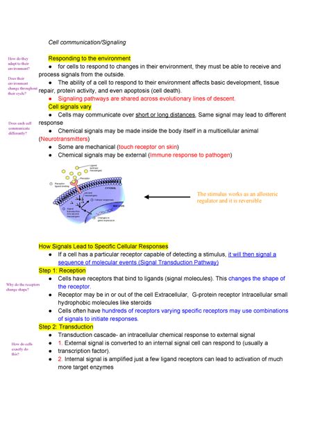 Cell Communicates Signaling Notes Cell Communication Signaling Responding To The Environment