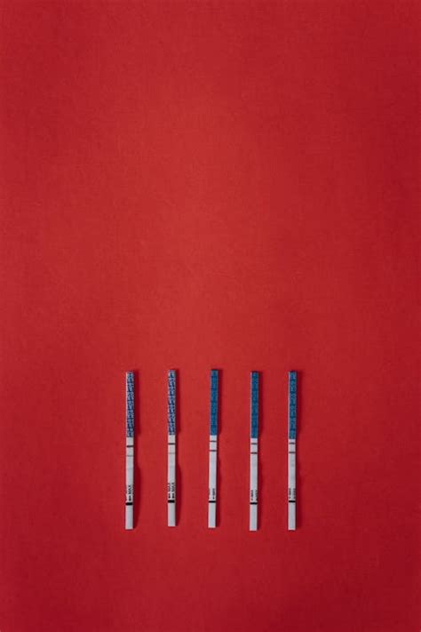 5 가족 가족 계획 객관적인 건강 결정들 계획하는 긍정적인 기대하는 깨끗한 노를 젓다 논쟁 대칭 띠 미니멀리스트 배경 배열 블루 비옥 빨간