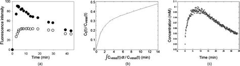 Characterization Of Tumor Microvascular Structure And Permeability Comparison Between Magnetic