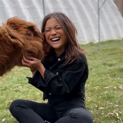 Mini Highland Cow Experience Udderly Ridiculous Farm Life
