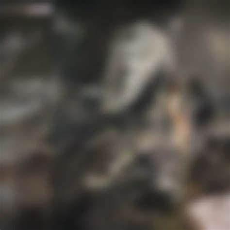 Matrigel 3d Culture Protocol A Detailed Guide