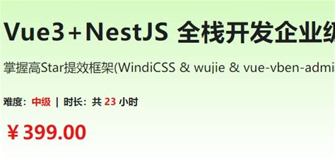 Vue3nestjs 全栈开发企业级管理后台（23章完整版）泓优网络