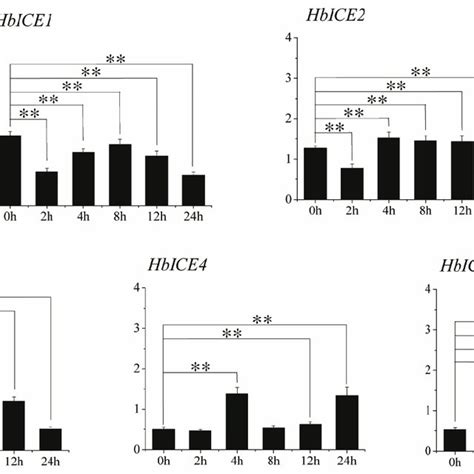 Expression Profiles Of Five Hbice Genes In Rubber Tree Clone 93 114 Download Scientific Diagram