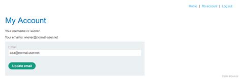 Burp靶场 Api Testingburp批量测试api Csdn博客