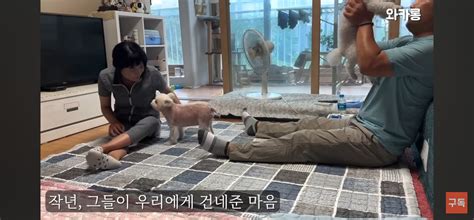 더쿠 입양3일만에 이상행동 보인 강아지 입양자에게 포기를 권하자 돌아온 대답