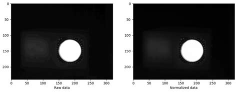 Comparison Of Raw And Normalized Data Download Scientific Diagram