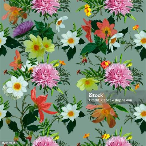 원활한 패턴 오렌지 골드 화이트 데이지 빨간색과 노란색 Kosmey 분홍색과 보라색과 꽃 0명에 대한 스톡 벡터 아트 및 기타 이미지 Istock