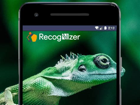 A Ml Powered Image Classification App Designed For Any Circumstances