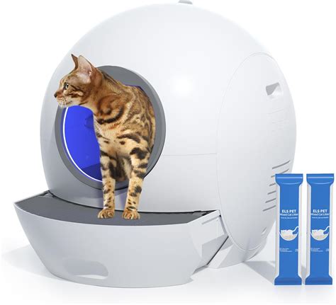 10 Best Automatic Self Cleaning Cat Litter Boxes You Need To Know About