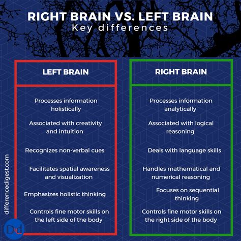 What Is The Difference Between Right Brain And Left Brain Difference Digest
