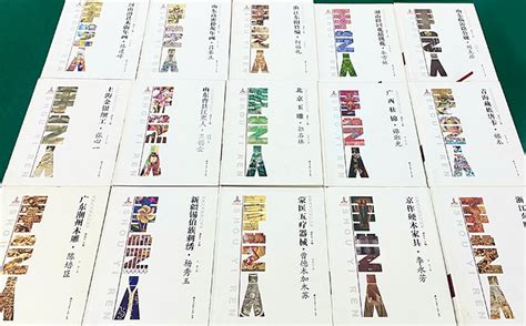 中国手艺传承人丛书 全20册 淘书团