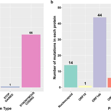 Bar Charts Showing Mutation Types And Mutations Affecting Protein A Download Scientific
