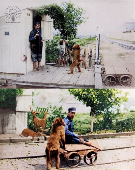 Knowledge Zone မီးရထားဝန်ထမ်း မျောက်ကလေး ဂျက် ၁၈၈၀ ခုနှစ်များအတွင်း တောင်အာဖရိကနိုင်ငံ၊ ကိပ