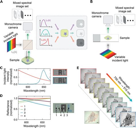 Highly Multicolored Light Emitting Arrays For Compressive Spectroscopy Science Advances
