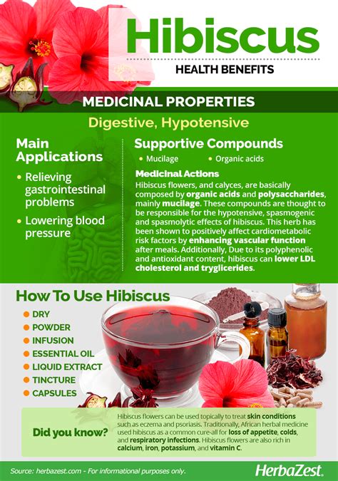 Hibiscus Herbazest