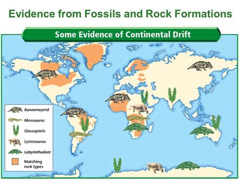 Image Result For Fossil Evidence Of Pangaea On World Map Continental Drift Earth Processes