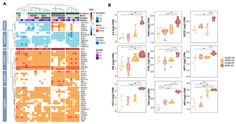 Inference Of Transcription Factor Activity And Expression Of Their Download Scientific Diagram