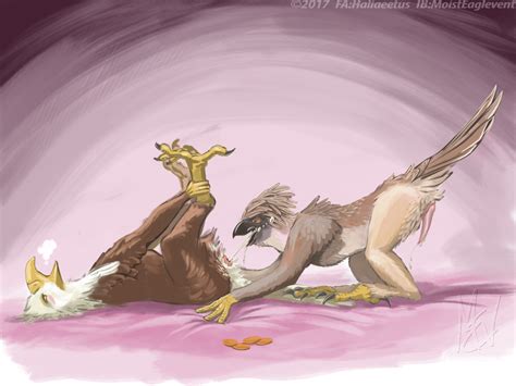 Rule 34 2017 Ambiguous Gender Animal Genitalia Avian Bald Eagle Beak