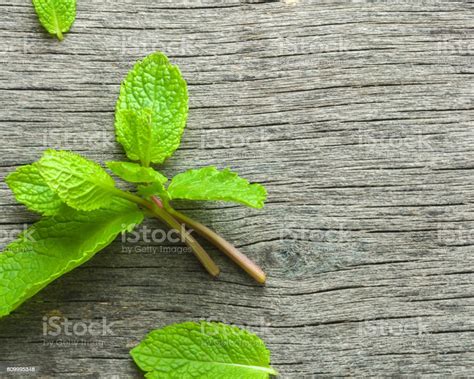 신선한 민트 잎과 슬레이트 배경에 빨간 건포도 흐린된 회색 배경입니다 물 드롭 건강관리와 의술에 대한 스톡 사진 및 기타 이미지 건강관리와 의술 건강한 생활방식 검은