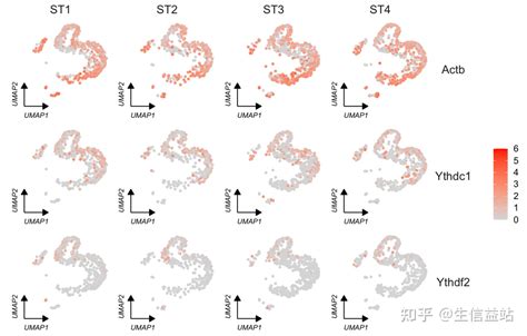 高分文章呼唤高颜值的scrna Seq可视化方式 知乎