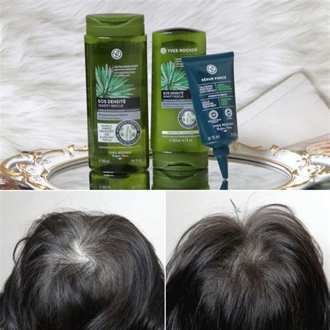 이브로쉐 화이트 루핀 덴시티 샴푸 헤어컨디셔너 두피세럼 후기 네이버 블로그