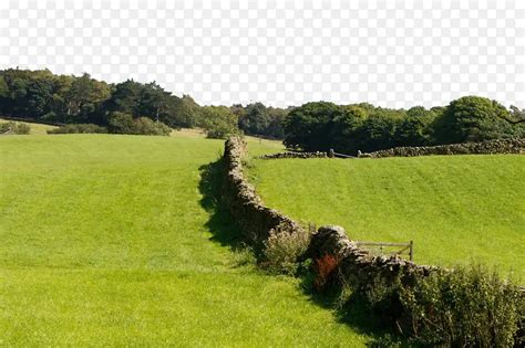 夏日草地风景图片二PNG图片素材下载 图片编号yezlmnle 免抠素材网