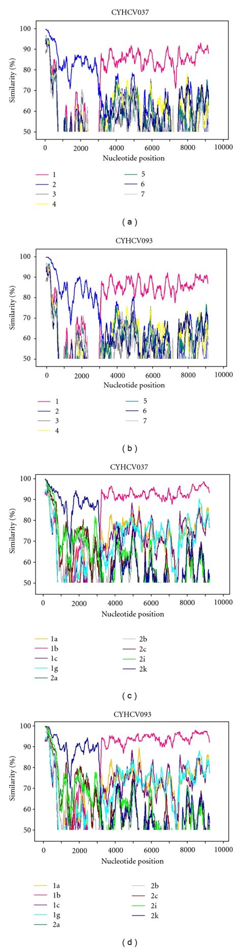 simplot analyses of the two 2k 1b recombinant candidate strains