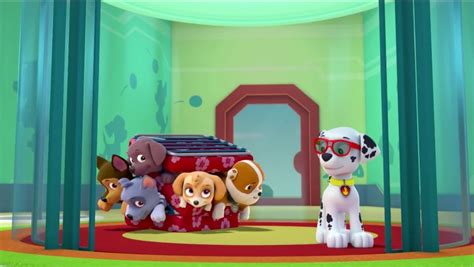 Pups Save Alexs Mini Patrol Trivia Paw Patrol Wiki Fandom