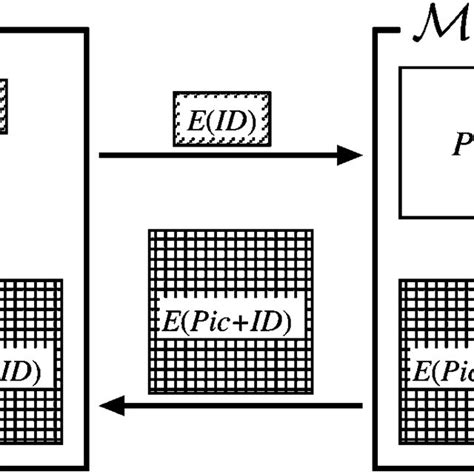 Fingerprinting Protocol Download Scientific Diagram