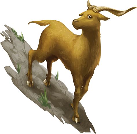 Cabro Dor Les Trésors Des Alpilles Parc Naturel Régional Des Alpilles