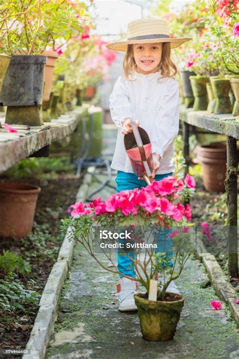 어린 소녀는 온실에서 식물과 원예에 물을 하는 데 도움이 가족에 대한 스톡 사진 및 기타 이미지 가족 개념 건강한 생활방식 Istock