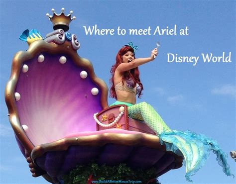 Where To Find Ariel The Little Mermaid At Disney World