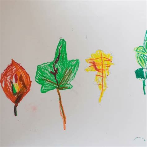 🍂🍃🍁 ფოთლების ჩრდილებით ხატვა 👨‍🎨👩‍🎨 ედუტოპია • Edutopia Facebook