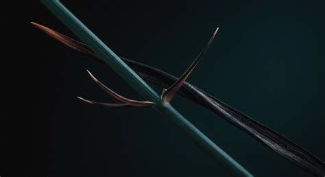 Nutrient Cycle Management → Fundamentals