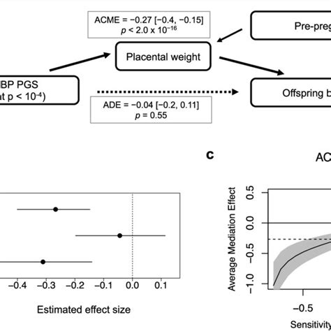 Causal Mediation Analysis A B Mediation Model Of The Relationship Download Scientific Diagram