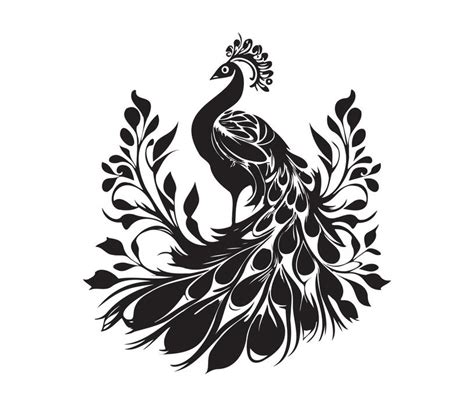 Peacock Vector Art Icons And Graphics For Free Download