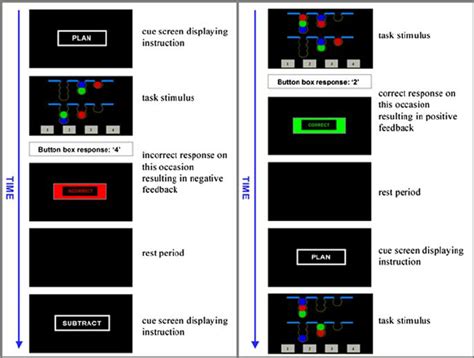 A Typical Series Of Trials During The Experimental Task Are Download Scientific Diagram