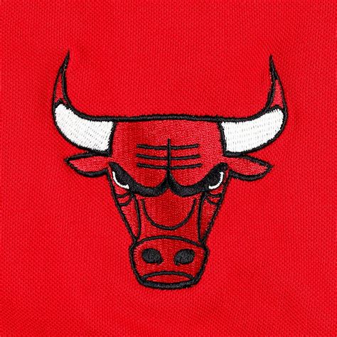 Tommy Jeans Chicago Bulls Stanley Pique Polo Academy