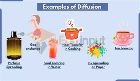 Diffusion Examples Everyday Diffusion Demonstrations