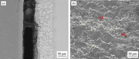 A Fracture Location Fracture Morphology Of The Joint Brazed At 1170 Download Scientific