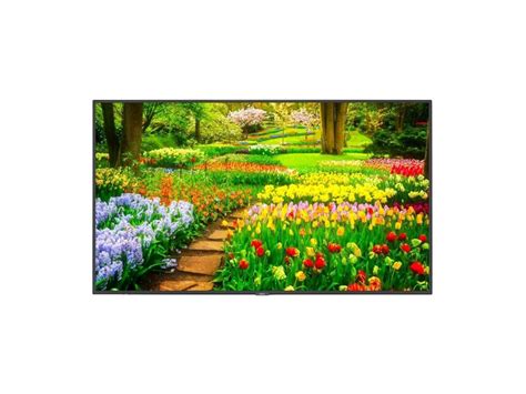 Sharp Multisync M491 Ir 49 Led Lcd Multisync M491 Ir 49 Led Lcd