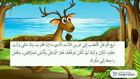 فيديو قصة مخ الوعل Youtube