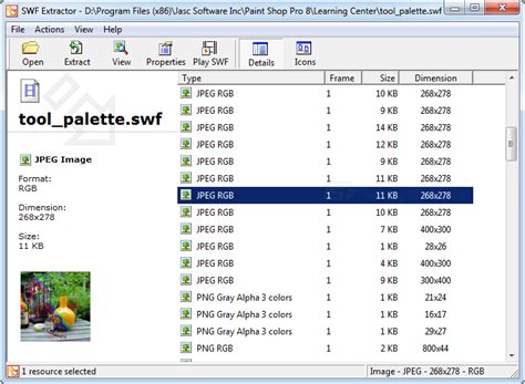 swf extractor screenshot and download at