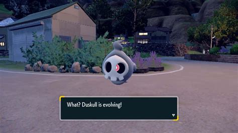 Duskull Evolution Chart